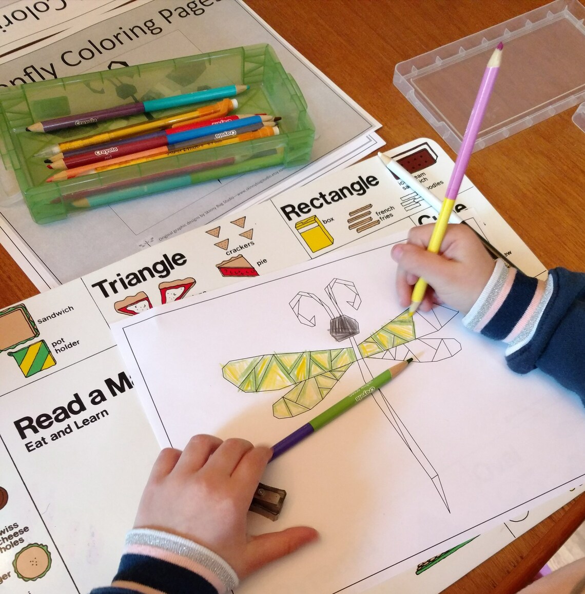 PDF Dragonfly coloring pages graphic design printable | Etsy