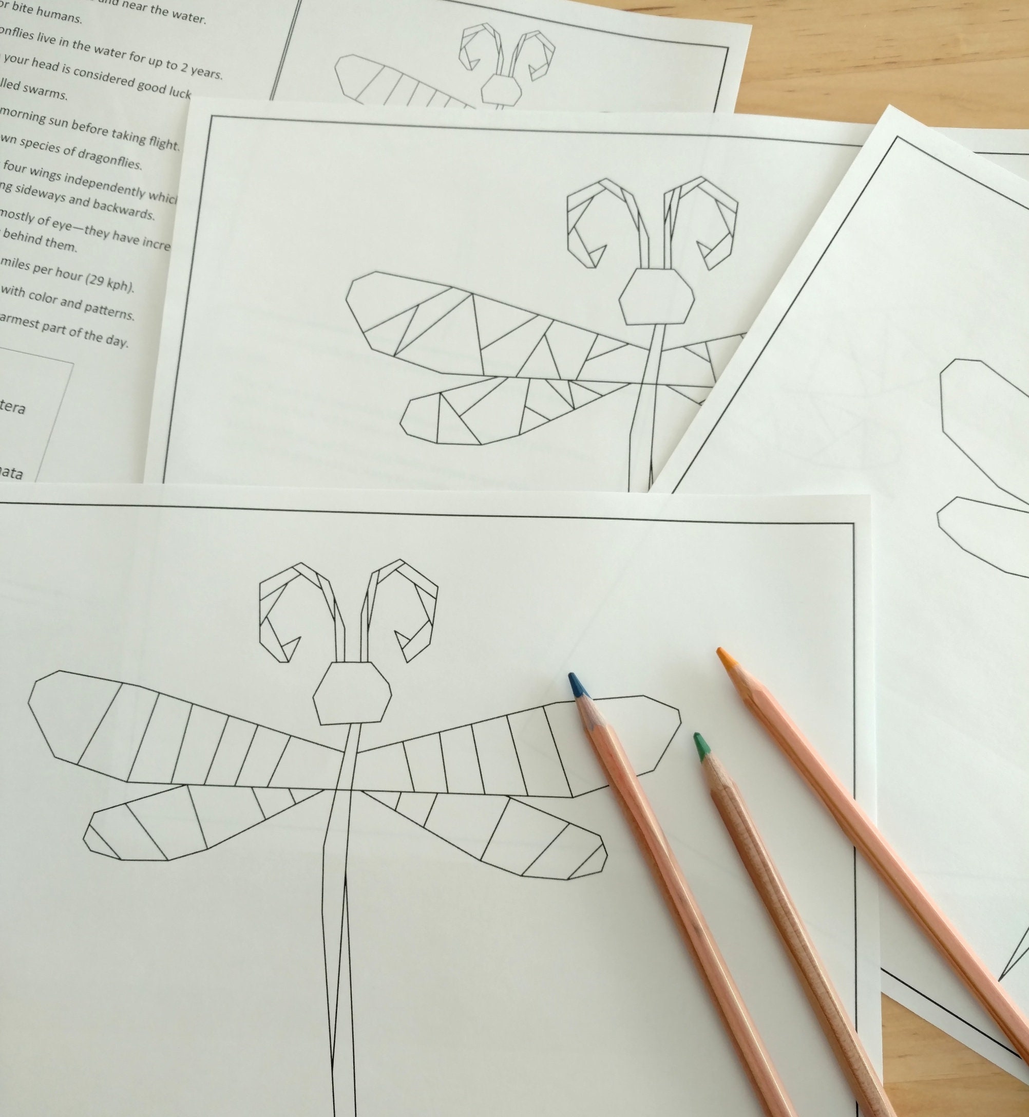 PDF Dragonfly Coloring Pages Graphic Design Printable Insect ...