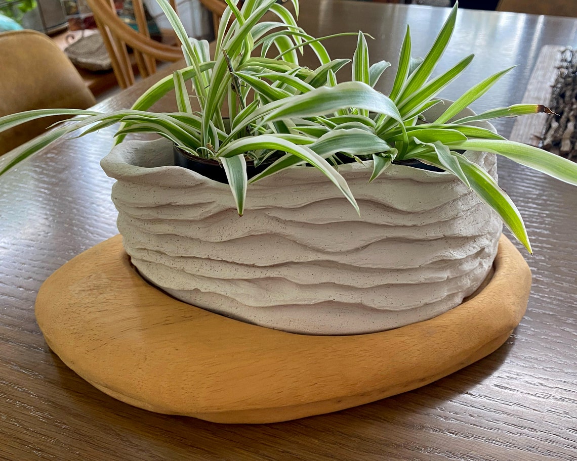 Handmade Ceramic Succulent Planter With Obeche Wood Base, Rustic Desk ...