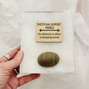 Emotional Support Rock Pebble. Rockfriend Sobriety Gifts - Etsy