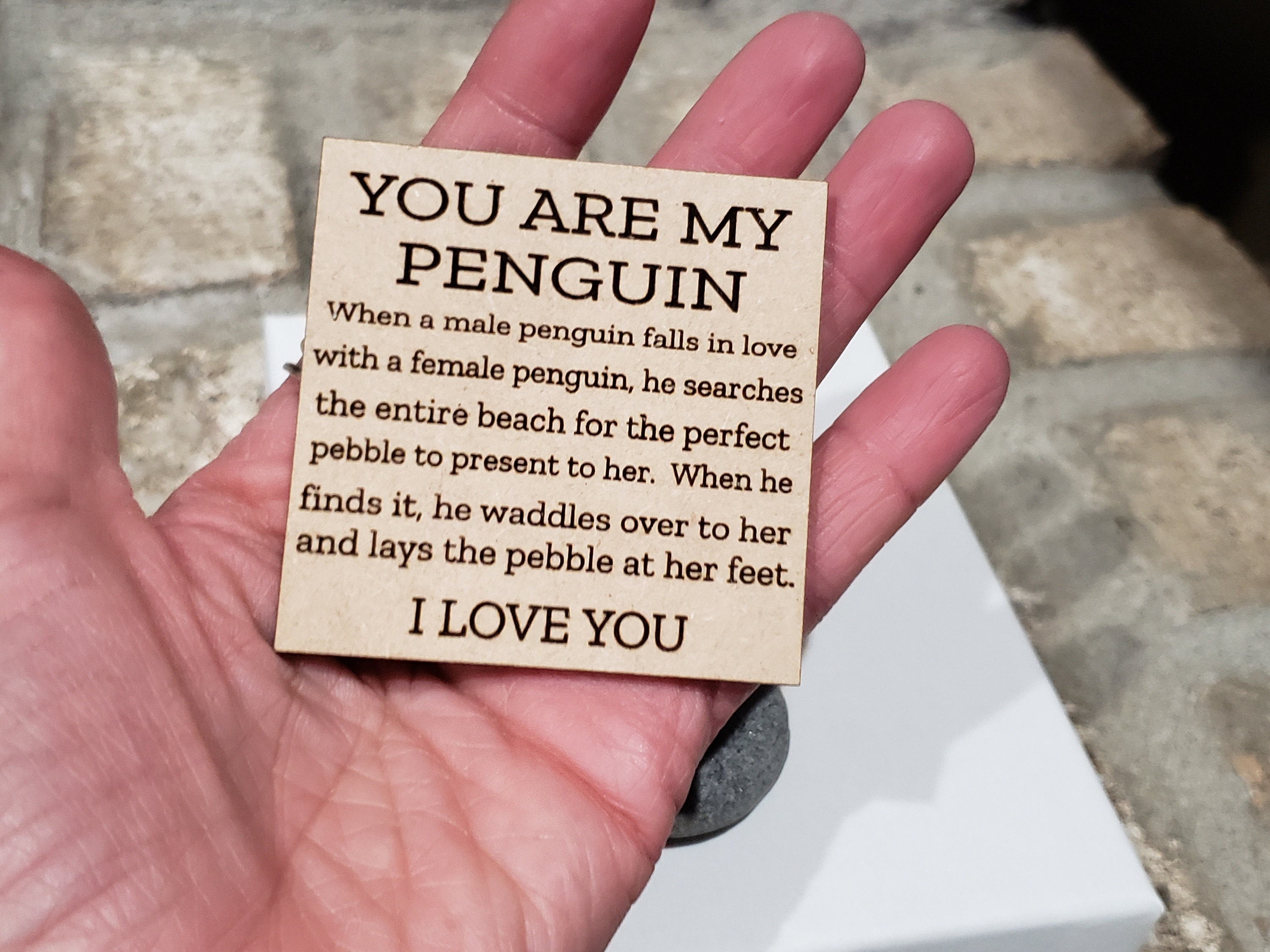 Penguin Pebble Beach Stone, Proposal Gift, Dating Gift, Engagement ...