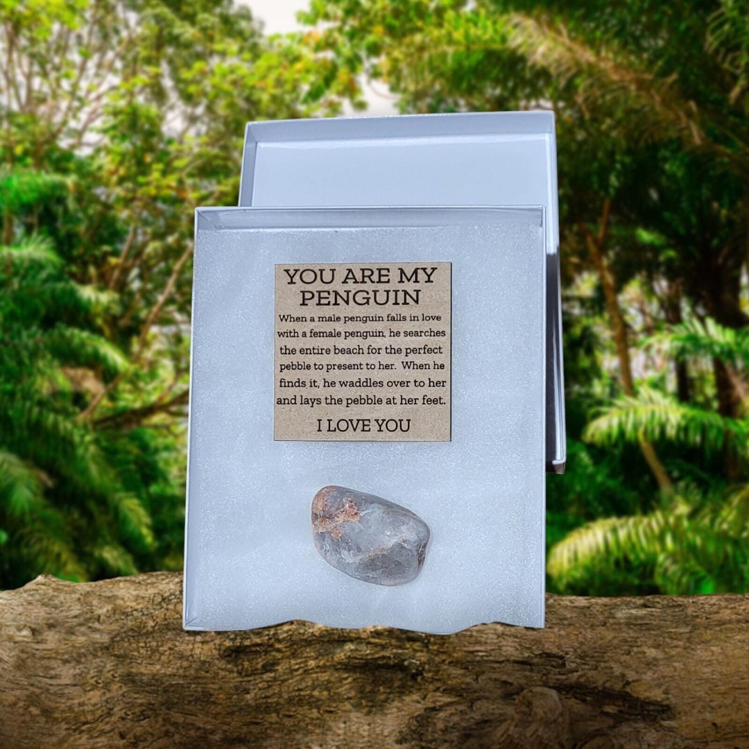 Penguin Pebble of Love. Romantic Gift for Wife, I Love You Card ...