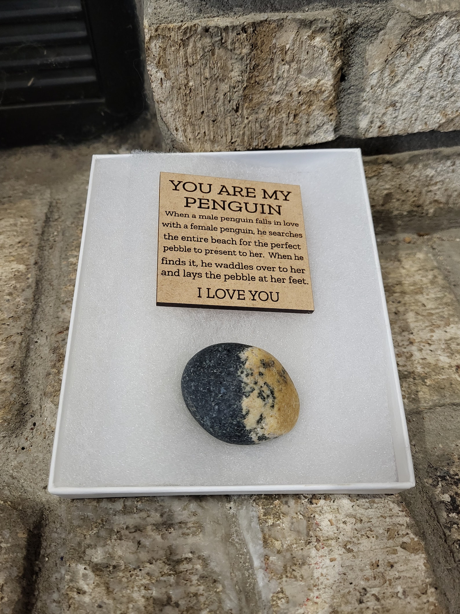 Penguin Pebble Beach Stone, Proposal Gift, Dating Gift, Engagement ...