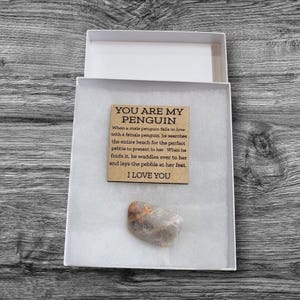 Penguin Pebble Beach Stone, Proposal Gift, Dating Gift, Engagement ...