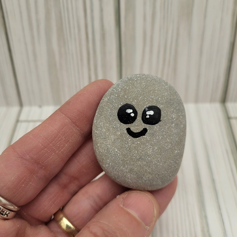Funny Painted Rocks - Etsy