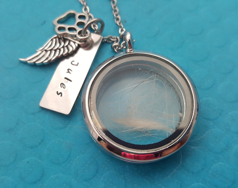 Personalized Pet Memorial Necklace - Paw Print, Angel Wing Charm - Loss ...
