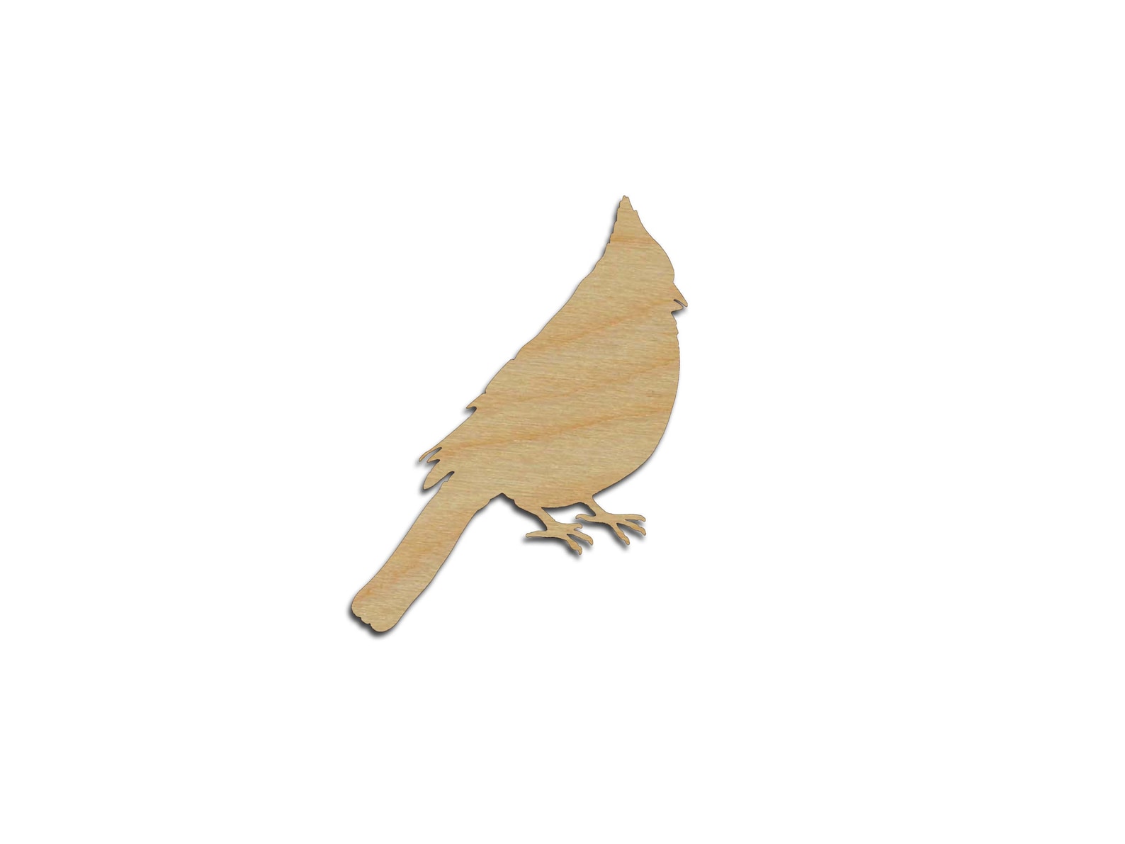 Cardinal Bird Shape Unfinished Wood Craft Cutouts Variety of | Etsy