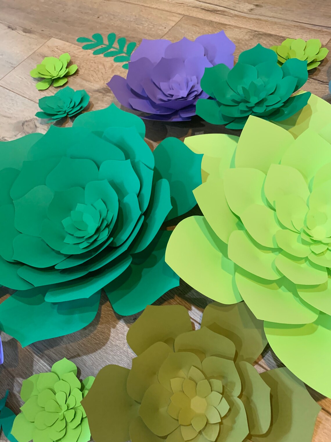 Paper Succulent Backdrop Paper Flower Succulent Giant Paper Etsy