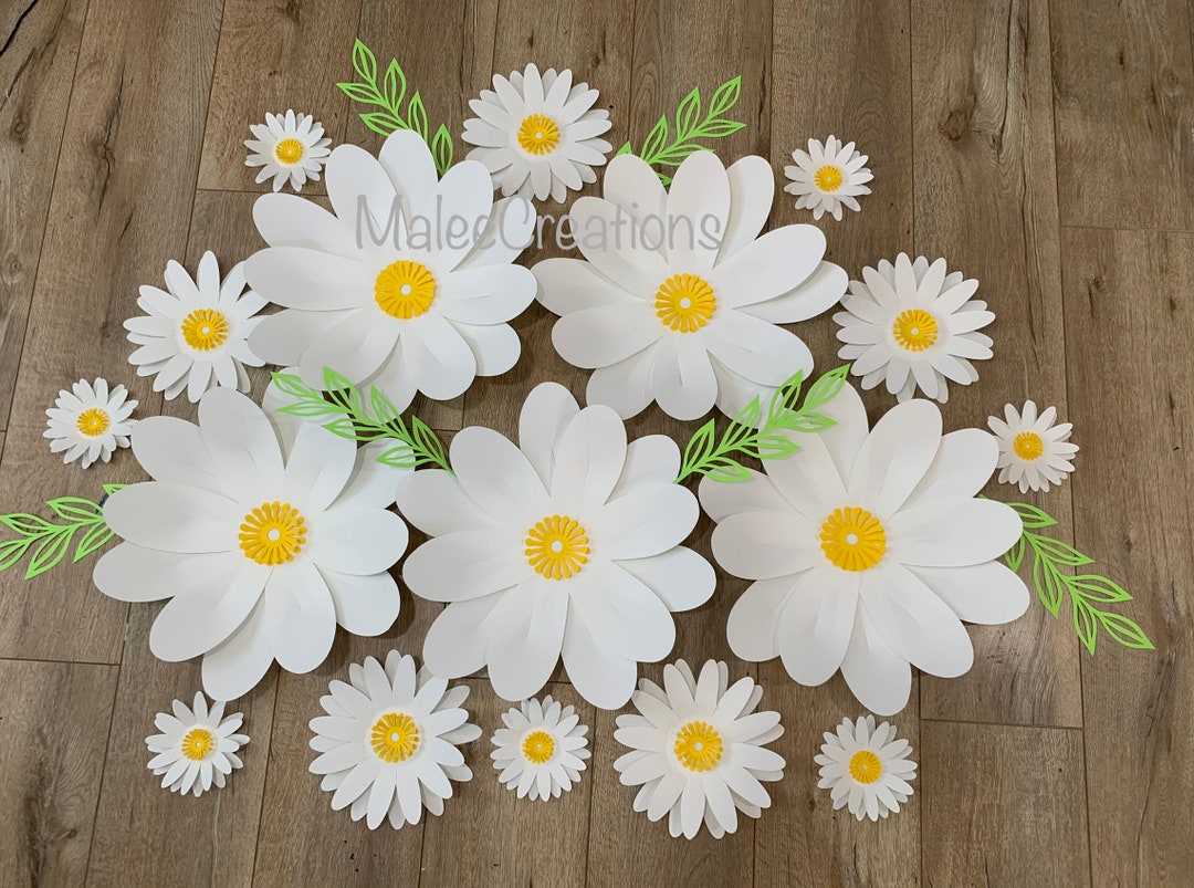 Daisy Backdrop, Paper Daisies, White Daisies, Daisy Flowers, Spring ...