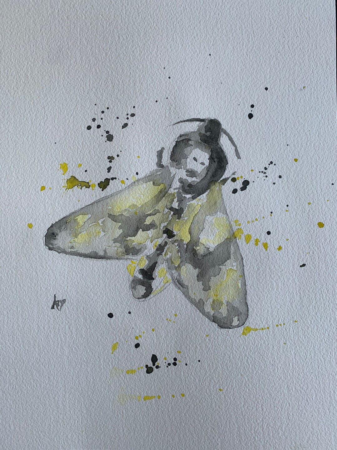 Deaths Head Hawkmoth Original Art Watercolor Painting - Etsy