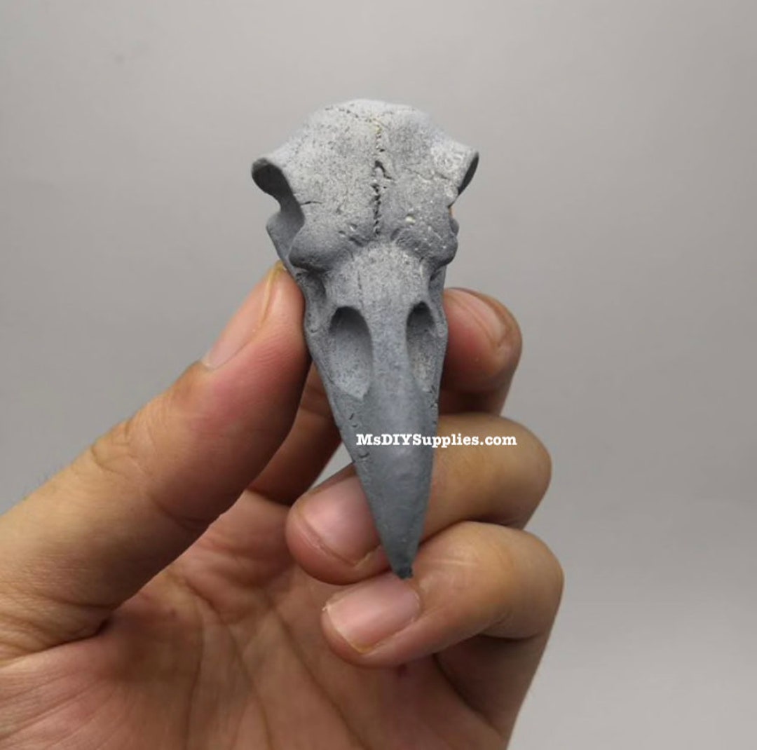 3D Mini Crow Skull Silicone Mold - Etsy