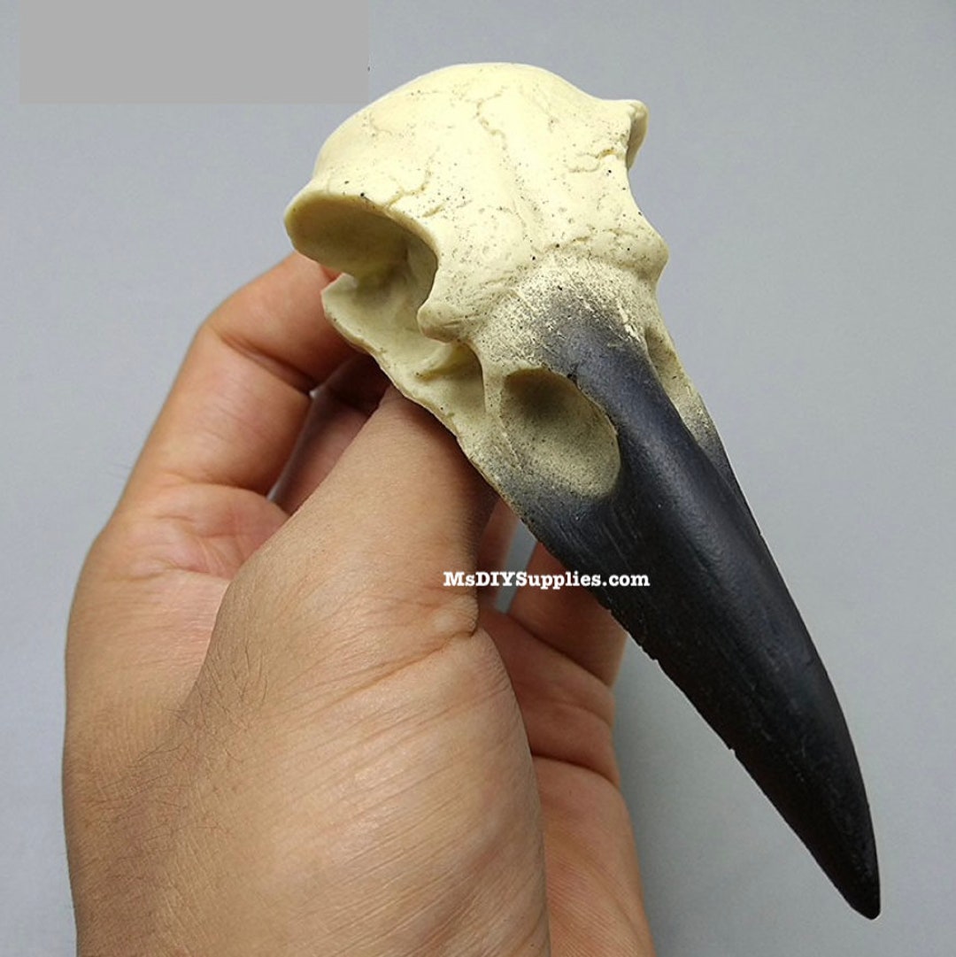 3D Crow Skull Silicone Mold Casting - Etsy