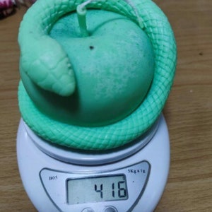 Snake Apple Candle Silicone Mold, Animal Wax Candles, Mould Terror Art ...