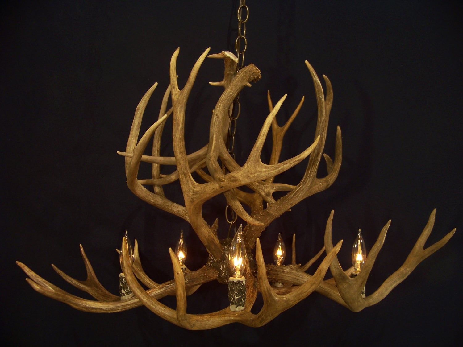 Legend Antler Designs Mule Deer Antler Chandelier Light Lamp Fixture - Etsy