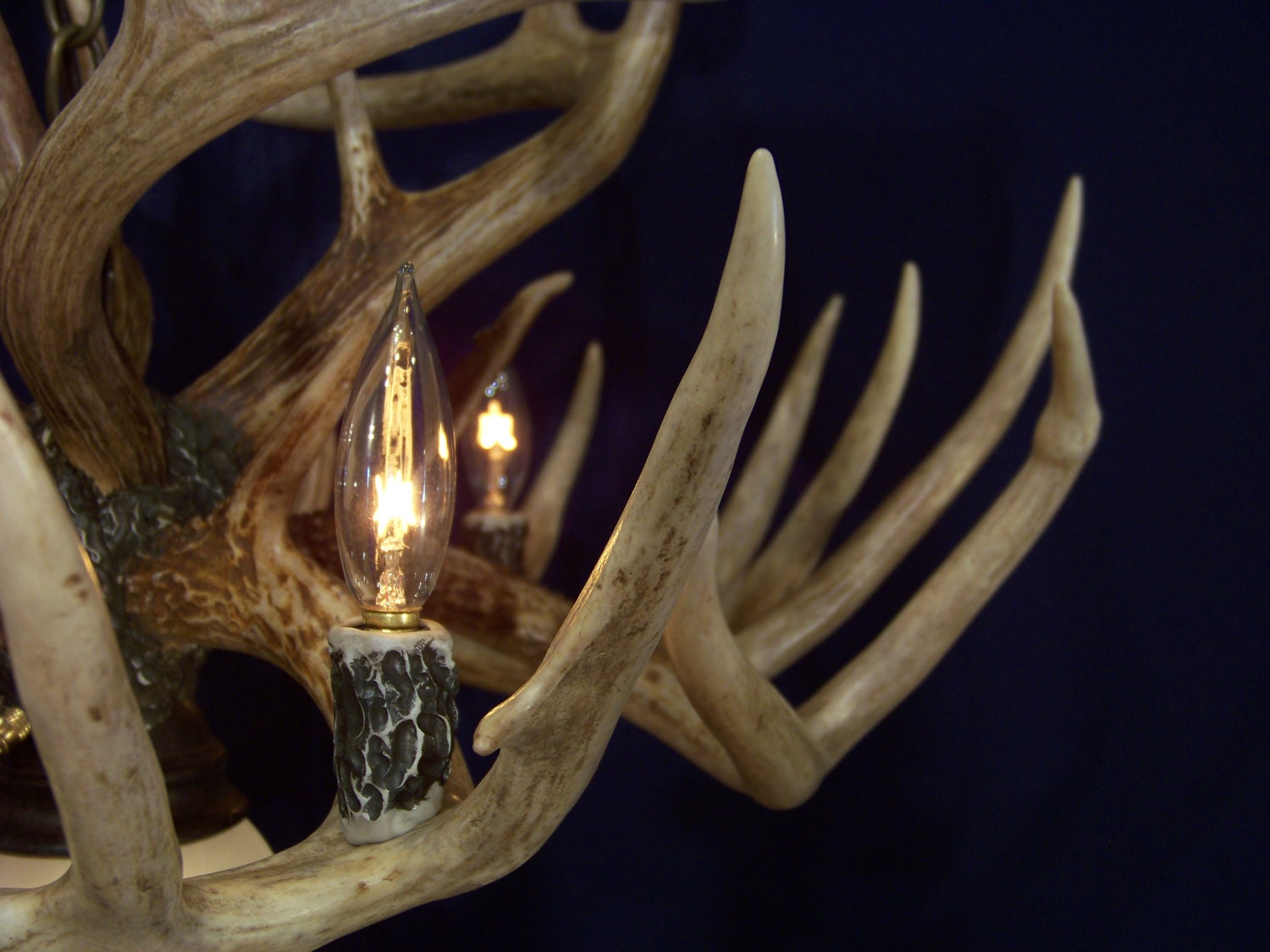 Legend Antler Designs single Switched Downlight Whitetail Deer Antler ...