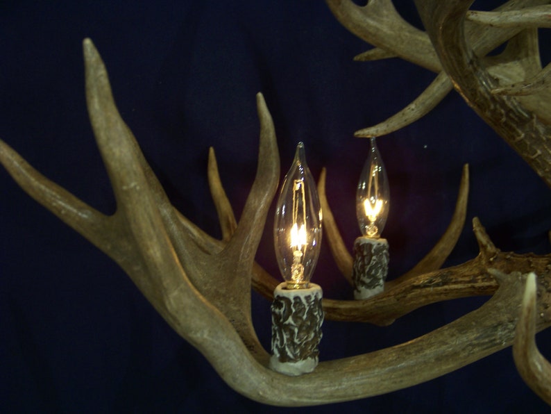 Legend Antler Designs Mule Deer Antler Chandelier Light Lamp Fixture - Etsy