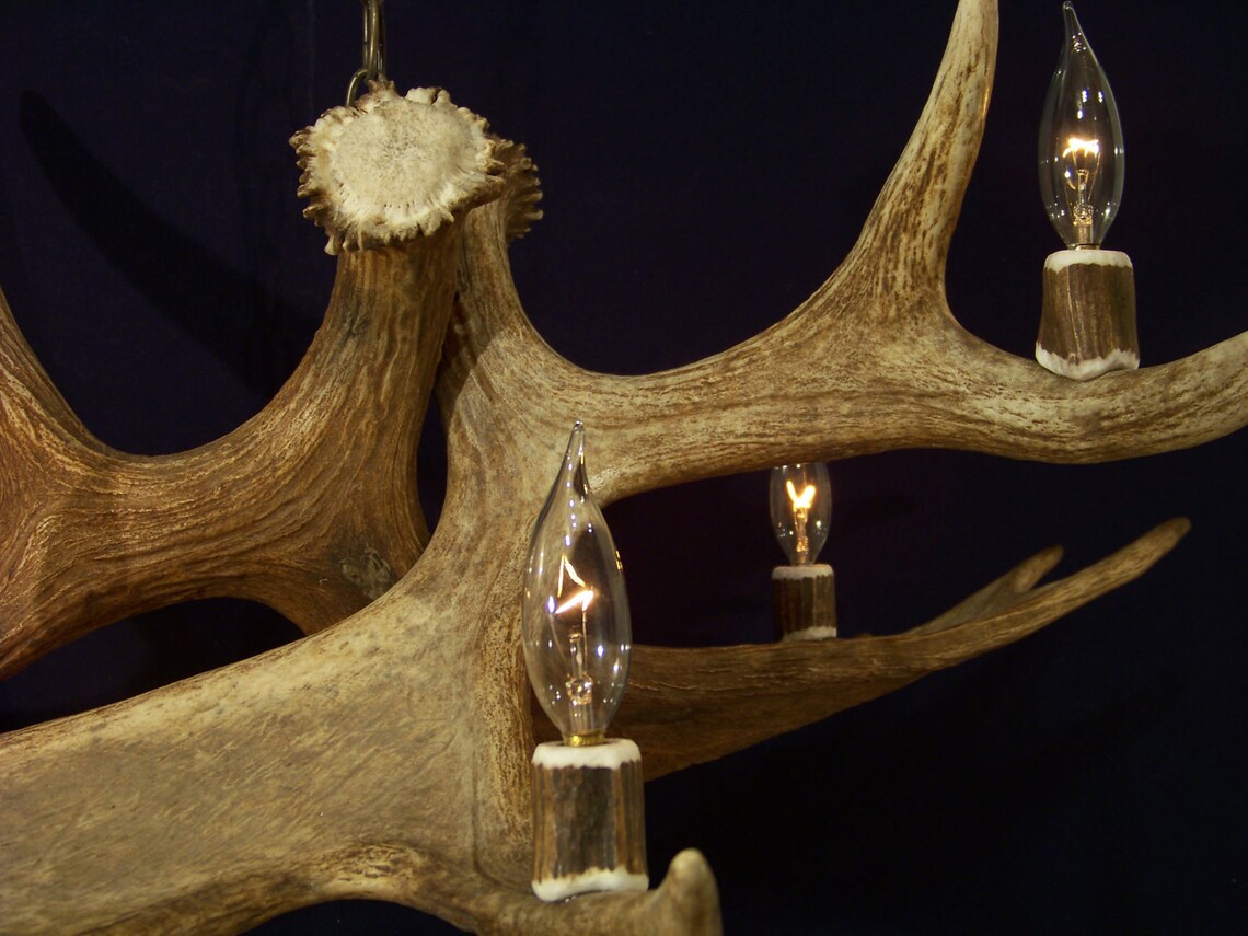 Moose Chandelier M1 Two Antler 6 Light Style - Etsy