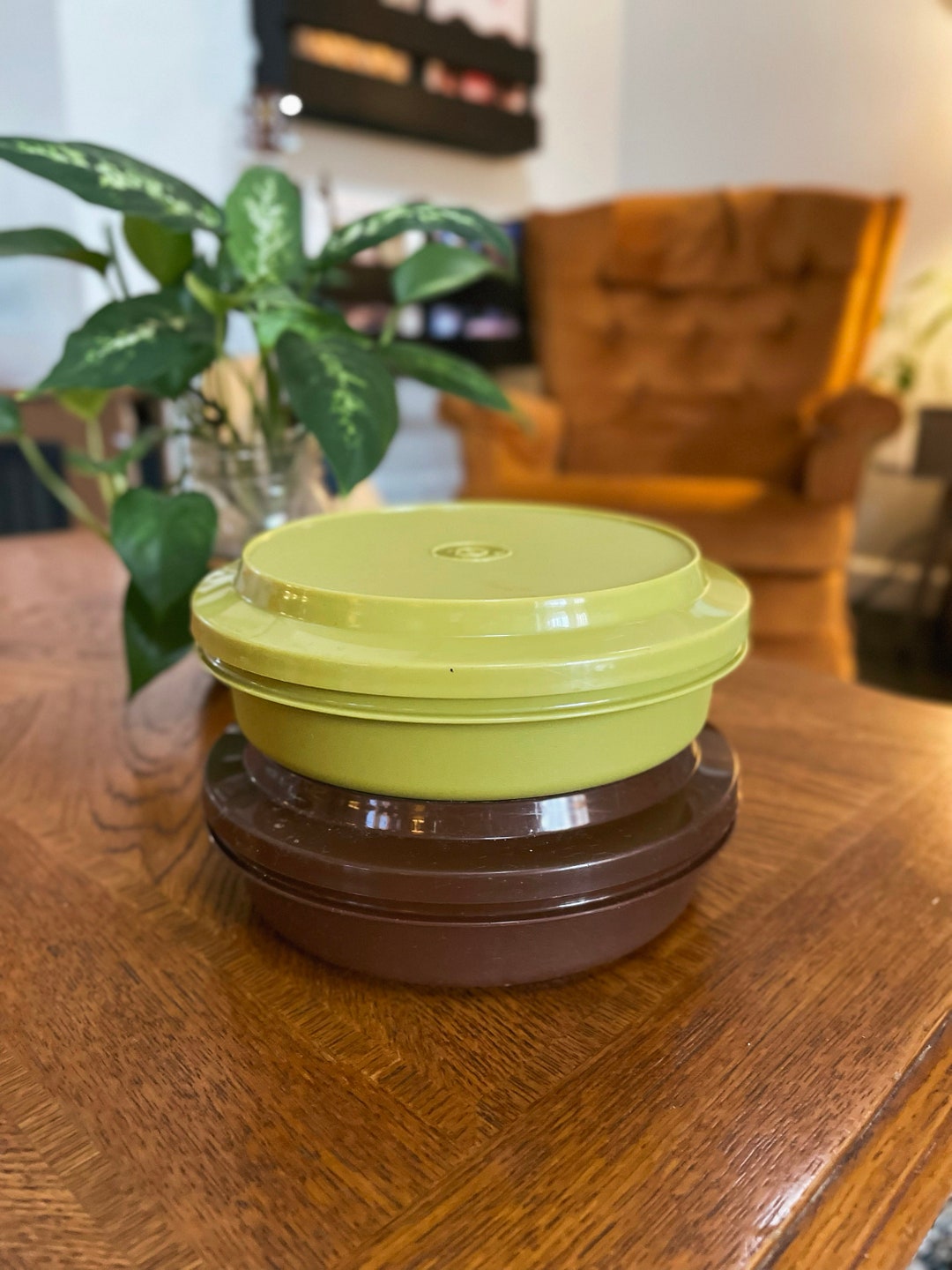 Tupperware Shallow Containers Set in Brown and Green Retro - Etsy