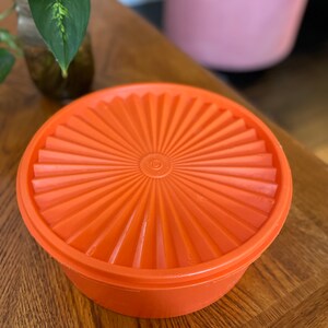 Tupperware Container in Burnt Orange, Retro Cottagecore, Grannycore ...