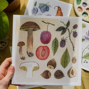 Fall Foraging Bundle 8x8 Print - Etsy