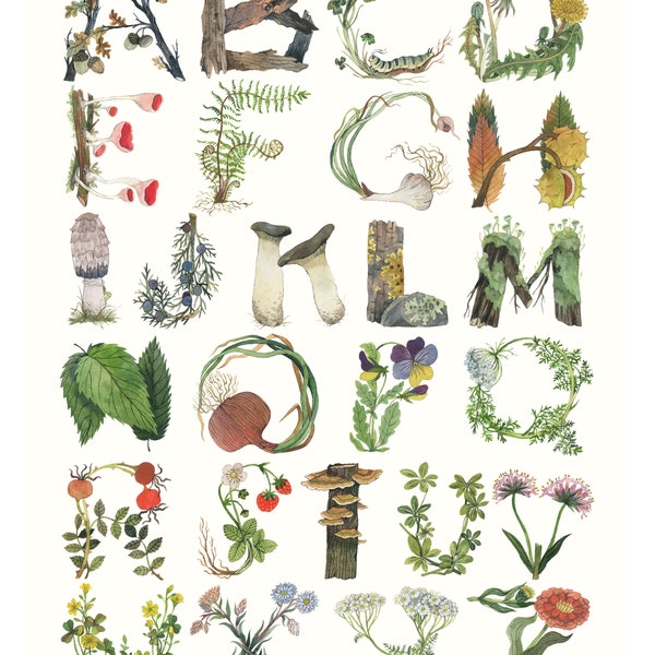 Nature Alphabet - Etsy