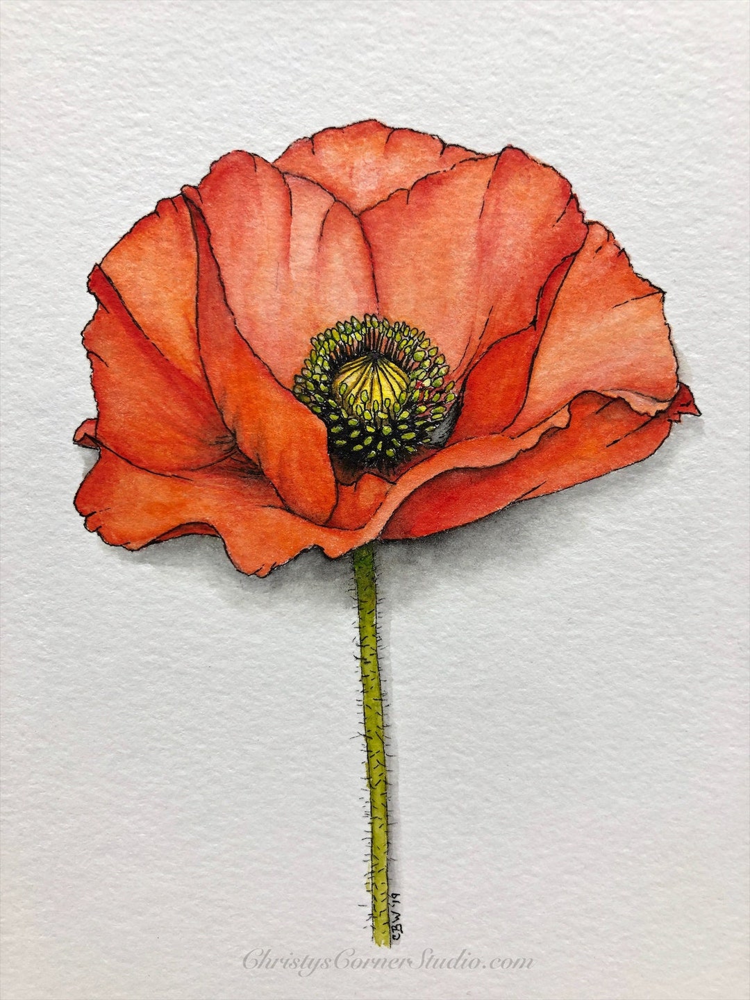 Poppy Framed Original Watercolor Painting - Etsy