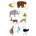 Safari / Jungle Animal Alphabet Print - Etsy