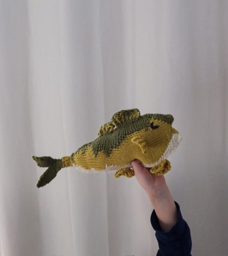 Fish Knitting Pattern - Etsy