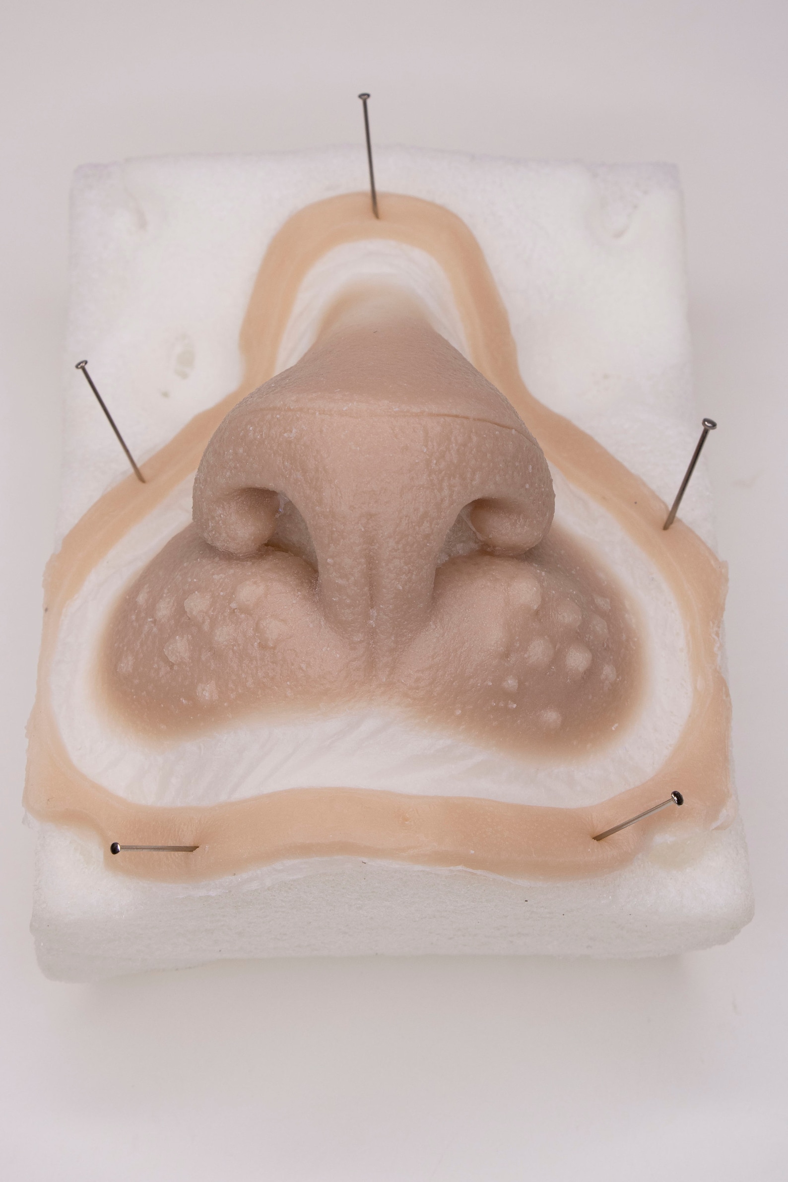 Cat / Lion Nose Prosthetics - Etsy