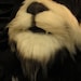 Chen Mask - World of Warcraft - Etsy