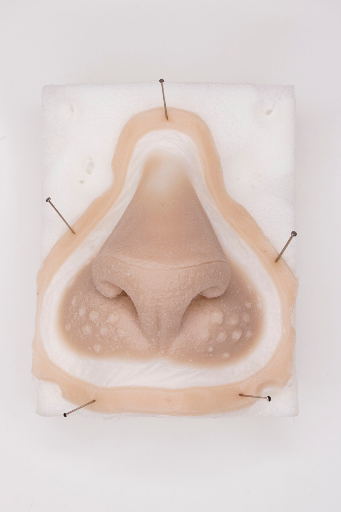 Cat / Lion Nose Prosthetics - Etsy
