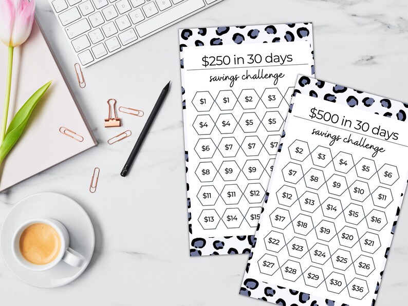 Cash Stuffing Inserts for Envelopes | Savings Challenge Bundle ...