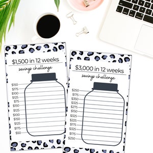 Cash Stuffing Inserts for Envelopes | Savings Challenge Bundle ...