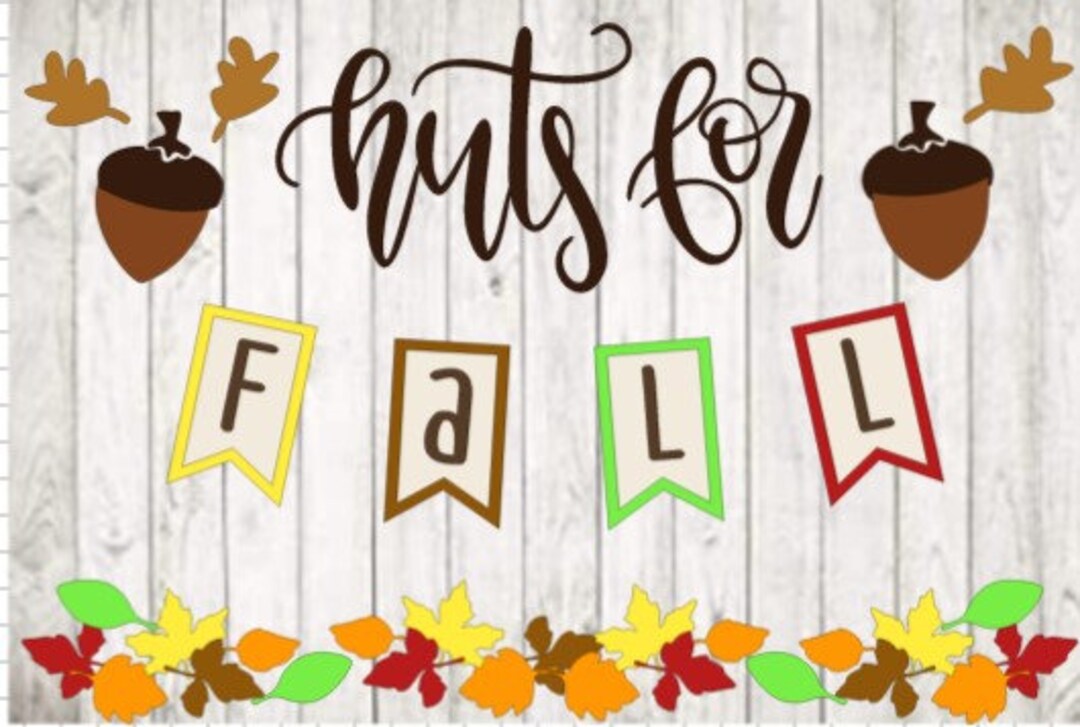 Teachers School Bulletin Board Cutouts DIY Kit "nuts for Fall" | Fall ...