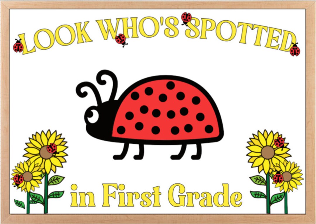 Teachers School Bulletin Board Cutouts DIY Kit "look Who's Spotted In ...