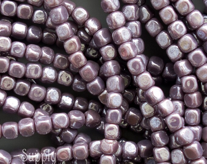 3135, 4mm Luster Opaque Lavender Cube Beads 4x4mm Opaque Luster ...