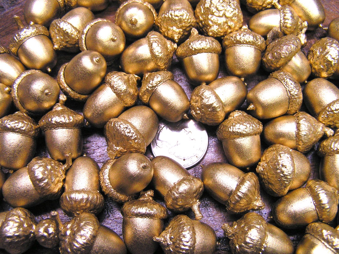 50 Dried Acorns WITH Caps, Gold Finish for Crafts, Holiday Wreaths ...