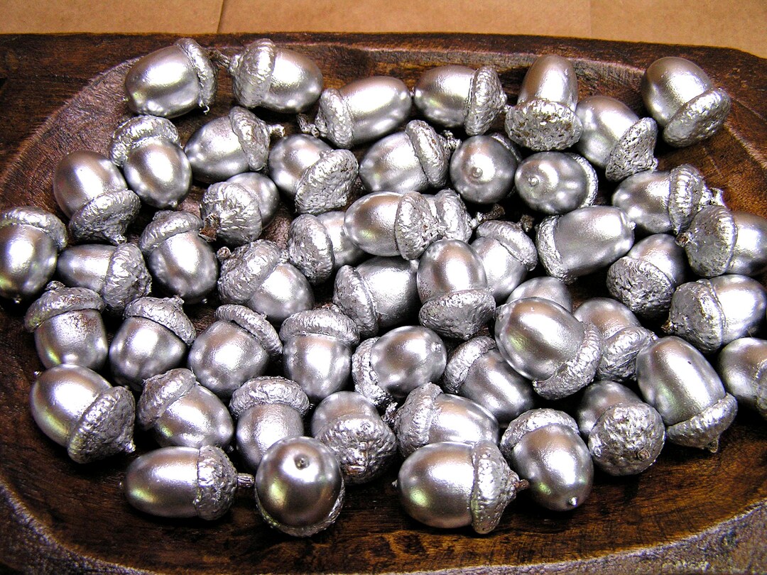 50 Dried Acorns WITH Caps Shiny Silver Finish for Crafts - Etsy