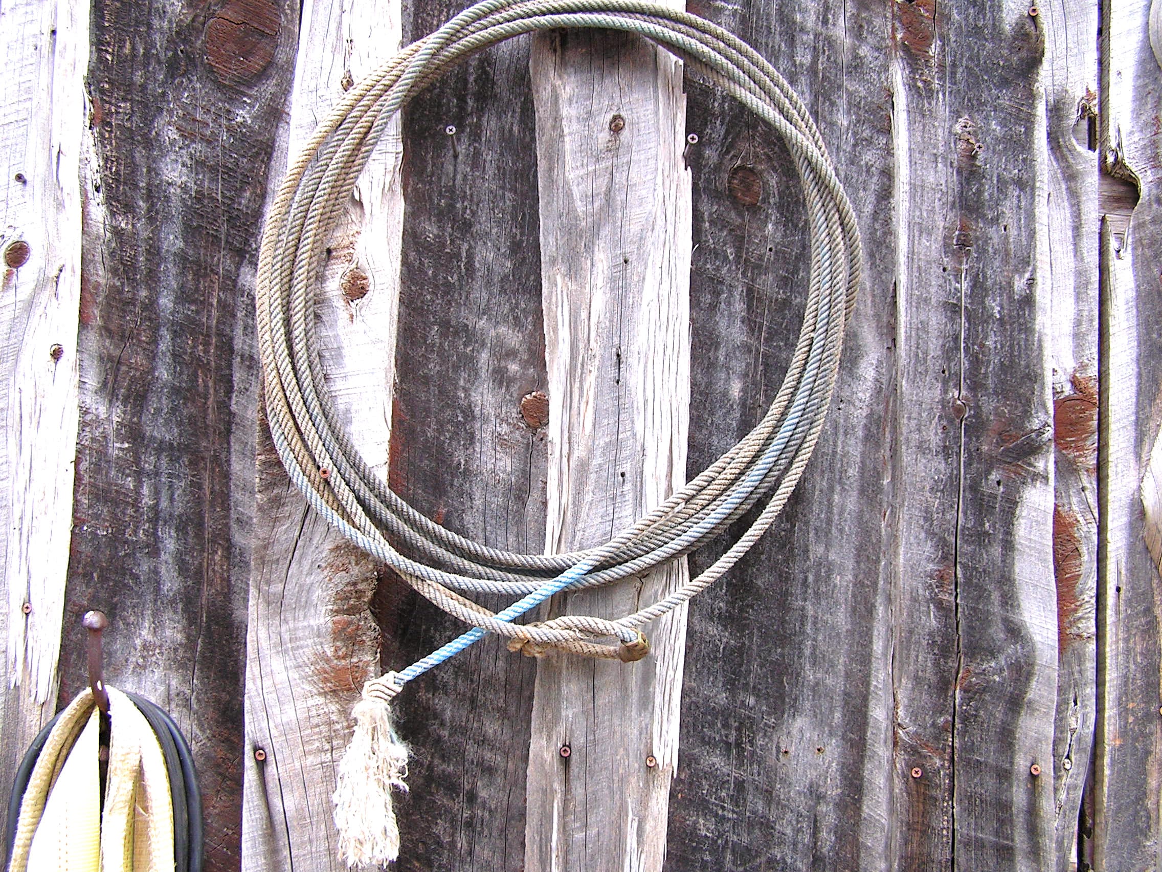 Lariat Rope Western Home Decor