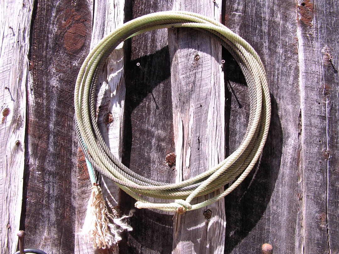 Vintage Old "retired" Cowboy Lariat Lasso Rope Western Wall Hang Decor ...