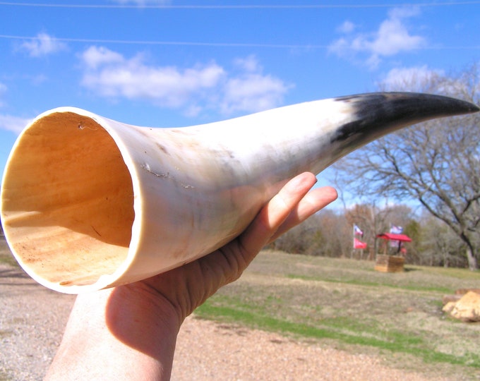 LARGE Longhorn Steer Horn for Handles, Cuffs, Jewelry, Projects, Crafts ...