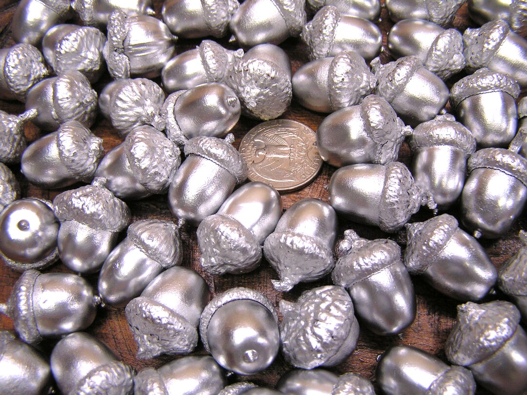 50 Dried Acorns WITH Caps, Shiny Silver Finish for Crafts, Holiday ...
