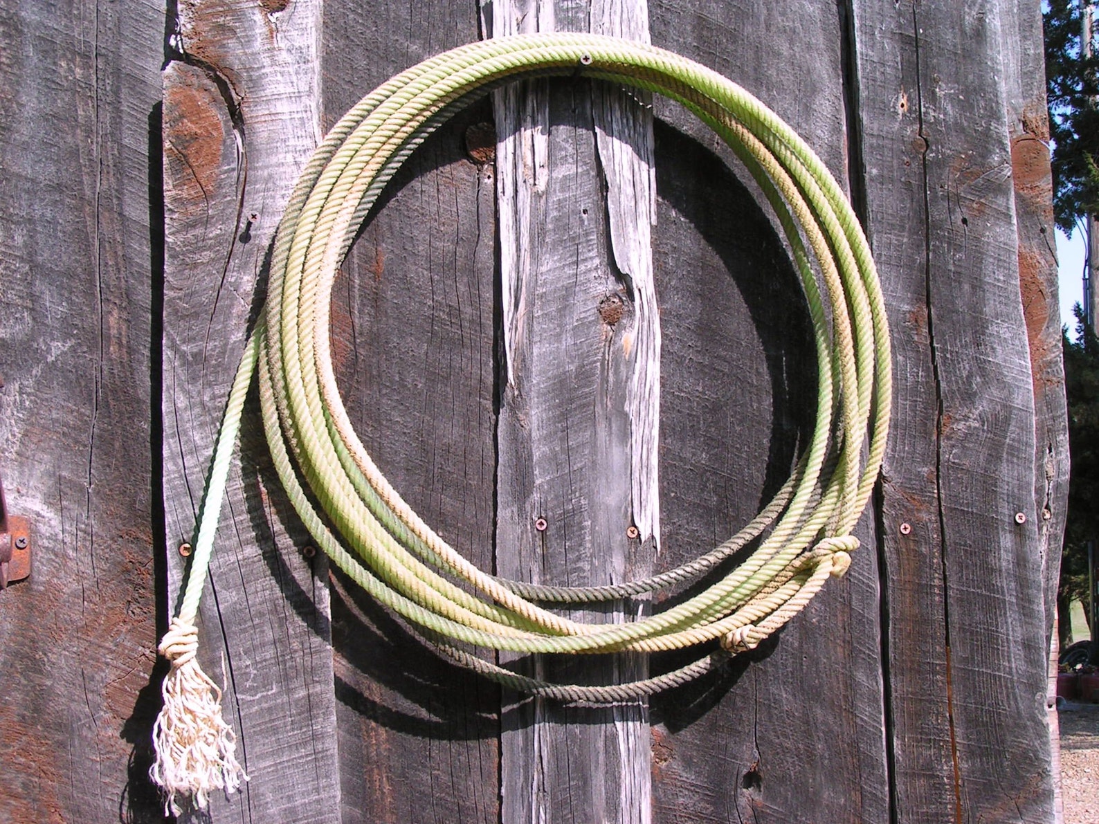 Old Cowboy Lariat Rope Western LASSO Wall Hang Decor 4313 - Etsy.de