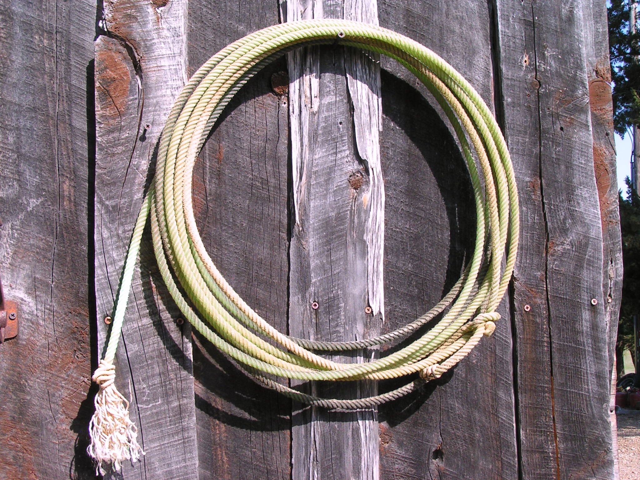 Lariat Rope Western Home Decor