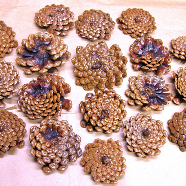 Pine Cone Set - Etsy