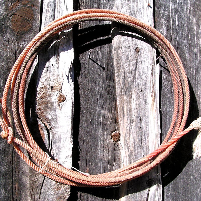 Lasso Rope - Etsy