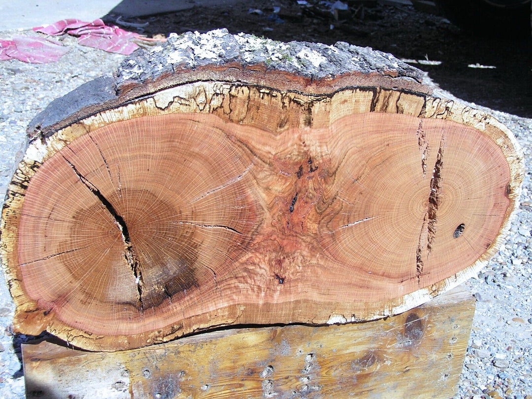 Natural Edge Black Jack OAK Wood Slab, PLANED, 20 5/8 X 10 1/2 2 1/2 ...