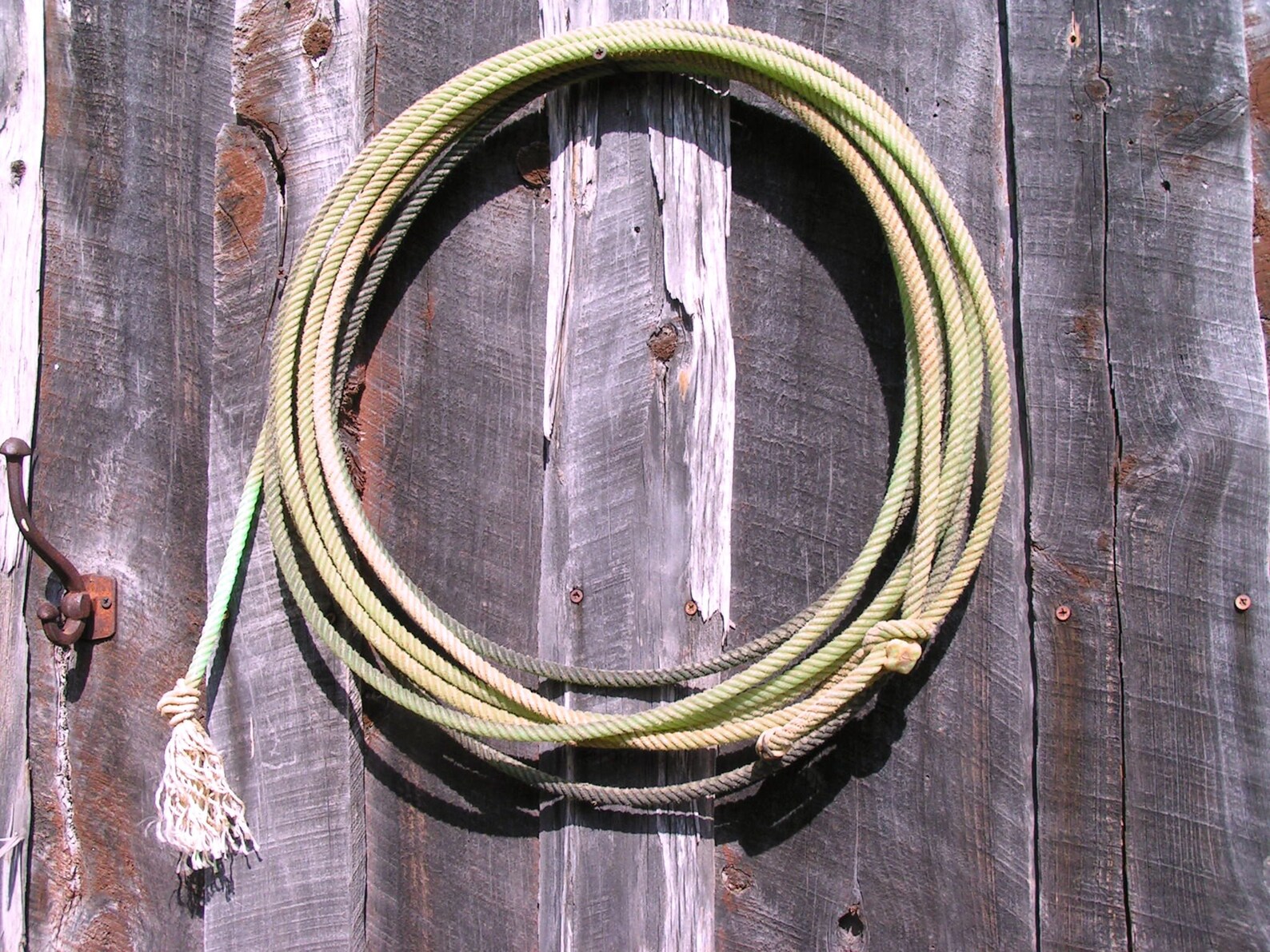 Old Cowboy Lariat Rope Western LASSO Wall Hang Decor 4313 | Etsy