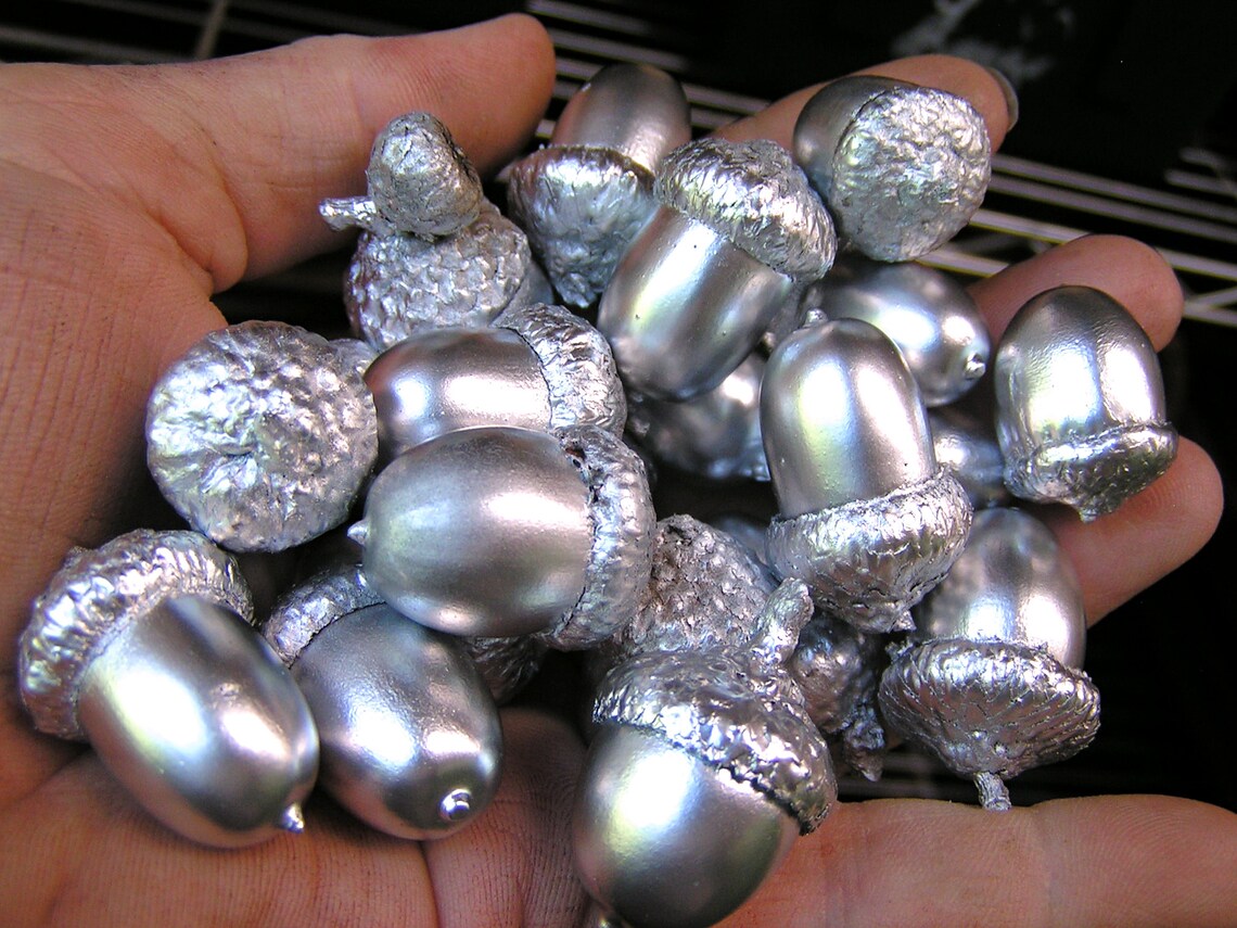 50 Dried Acorns WITH Caps Shiny Silver Finish for Crafts - Etsy