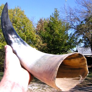 Longhorn Steer Horn for Handles, Cuffs, Jewelry, Projects, Crafts ...